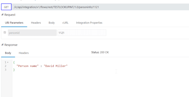 How to use Lookups in Oracle OIC - Kaamilant